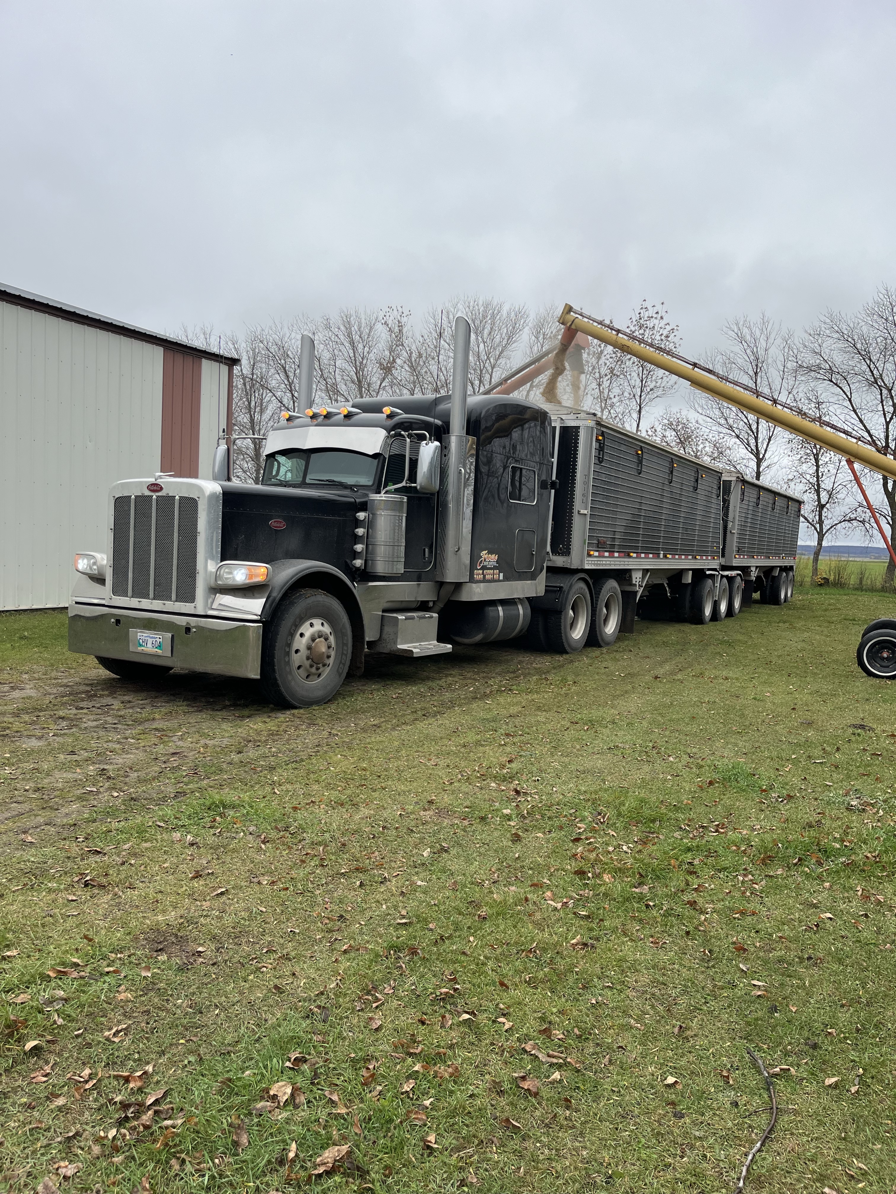 Grain Hauling – Froese Seed Service Ltd.